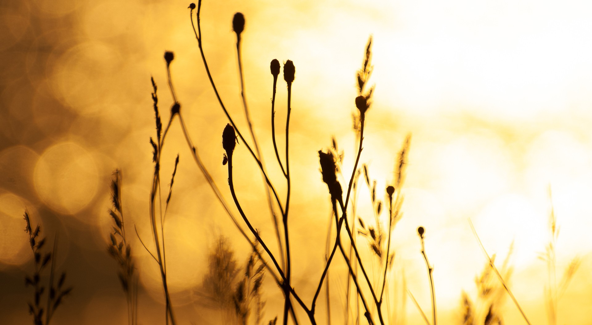 Parten der Verstorbenen - Städtische Bestattung Gmünd